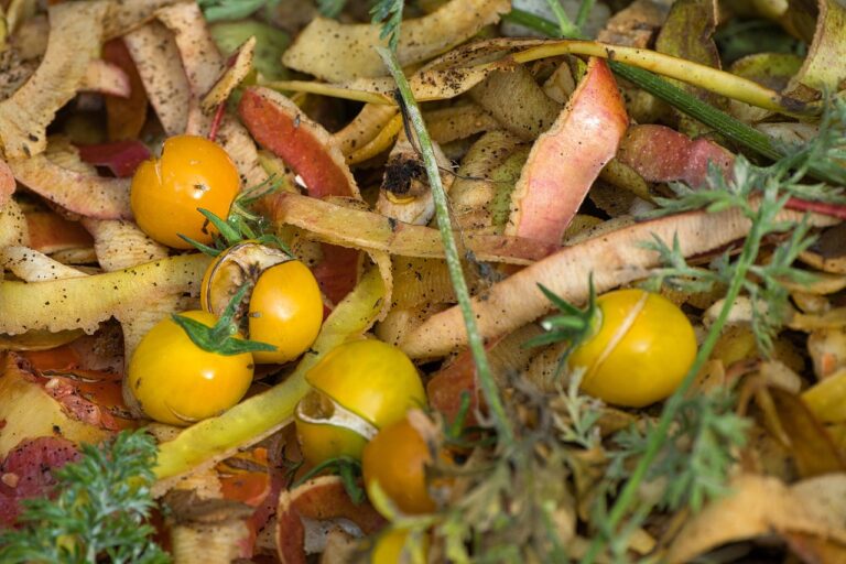 Food Waste in Dutch Households Continues to Decline, but There is Still ...